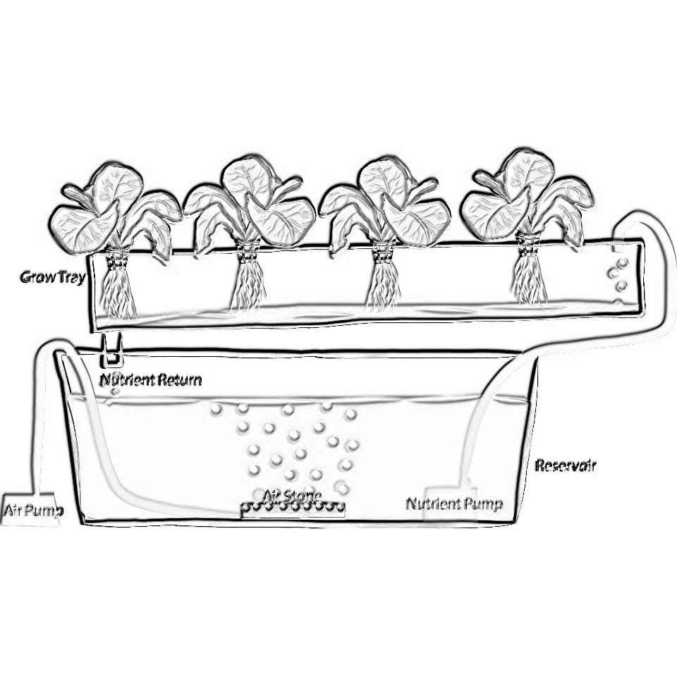hydroponics-setup-guide cartoon | Zasadi.si